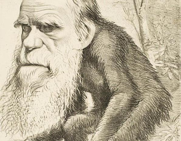 10 Things I Wish Everyone Knew about the Creation vs. Evolution Debate ...